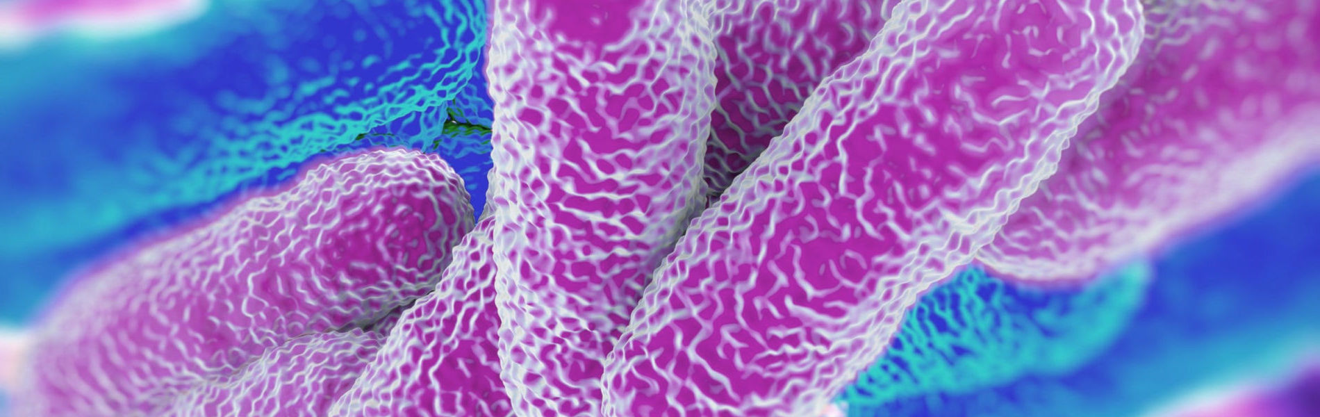 Legionella (ACOP L8) Compliance - Echo Square